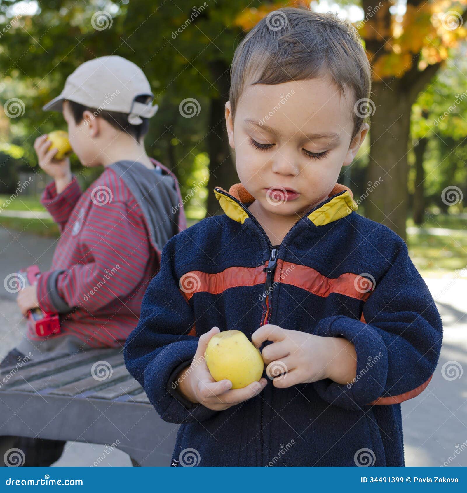 Children eating apple stock image. Image of closeup, nature - 34491399
