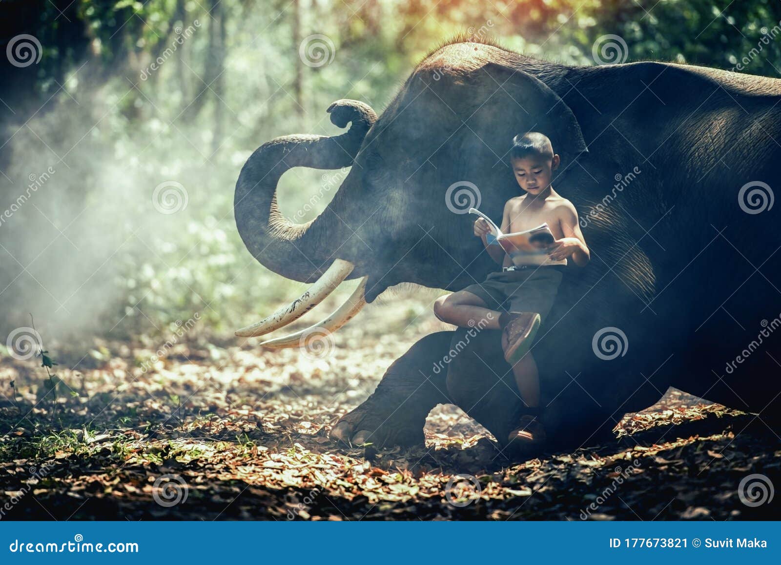 A Boy Reading a Book on the Back of an Elephant Stock Image - Image of ...