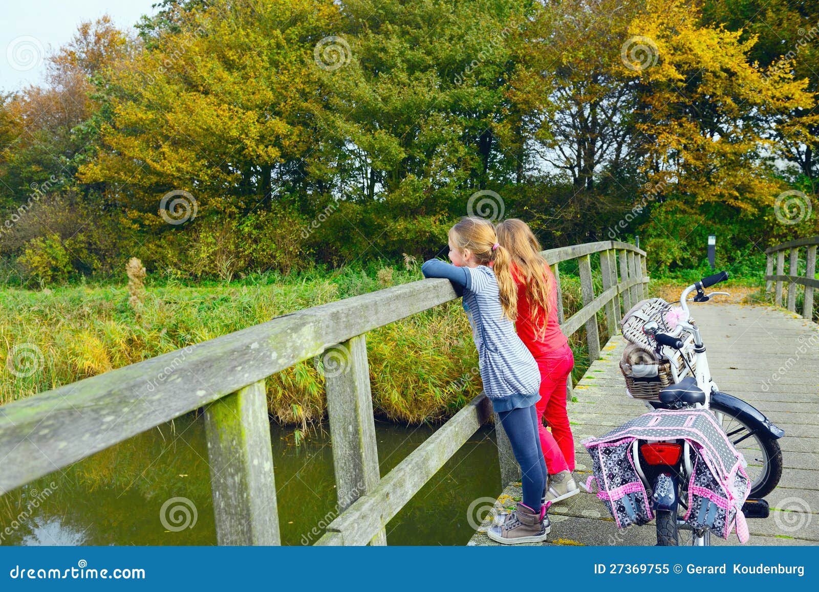 Children Enjoying Nature on Bicycle Stock Image - Image of little ...