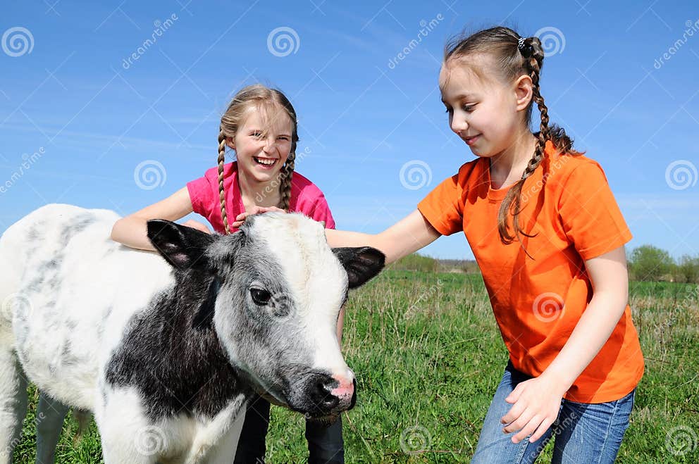 Children at farm stock image. Image of calf, green, chestnut - 24618865