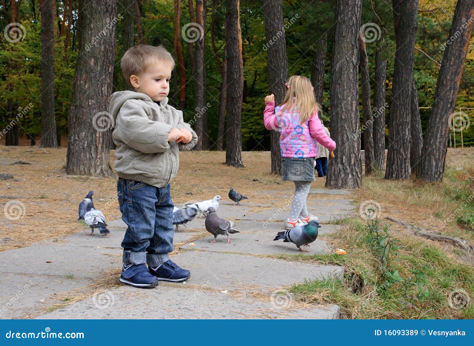 Children feeding birds stock image. Image of caucasian - 16093389
