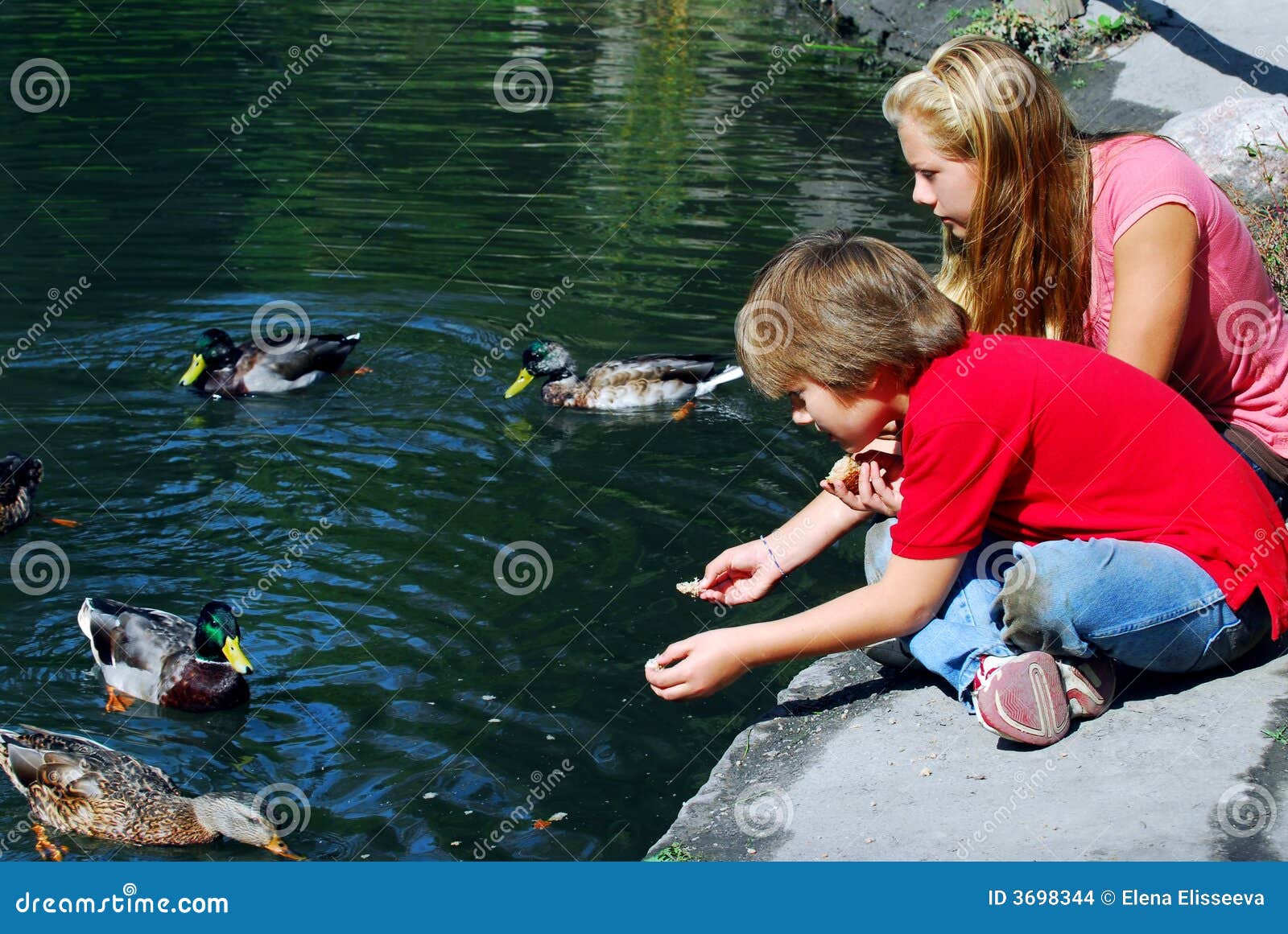 Children Feeding Ducks Stock Images - Image: 3698344
