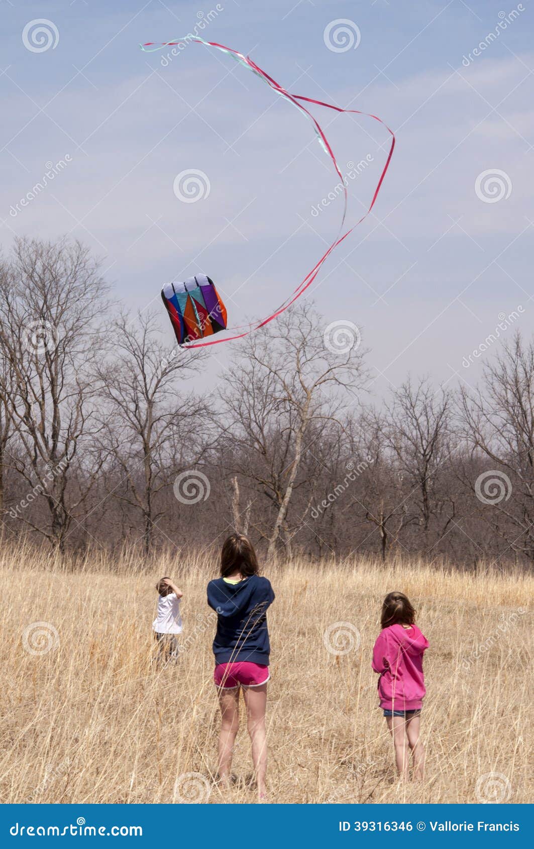 Children flying a kite stock photo. Image of girl, tail - 39316346