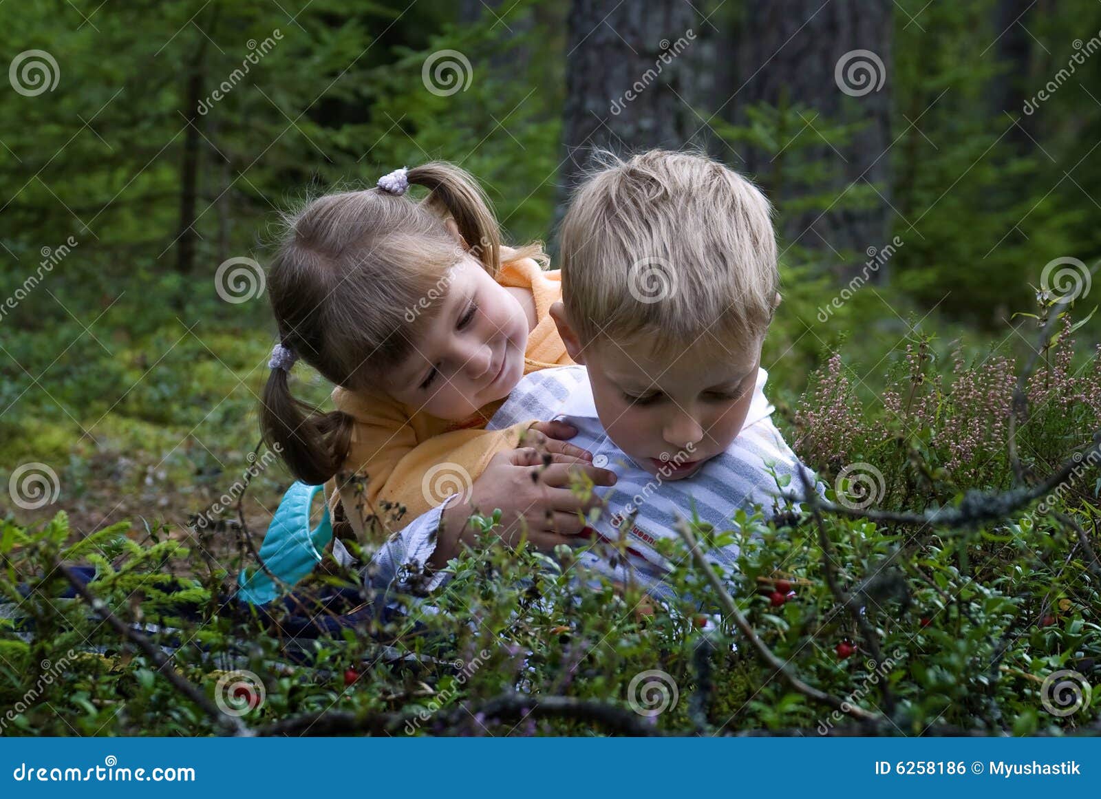 Children in the forest stock photo. Image of child, caress - 6258186