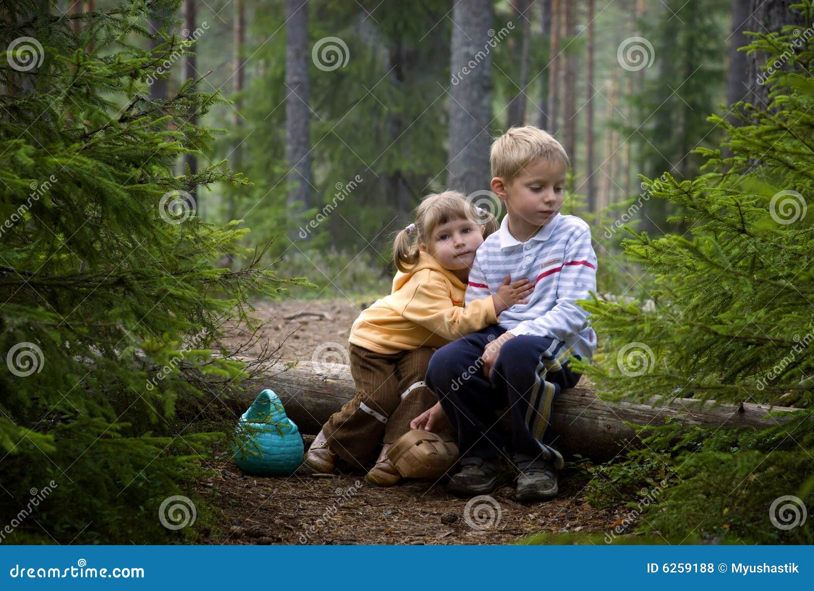 Children in the forest stock photo. Image of dreamer, expression - 6259188