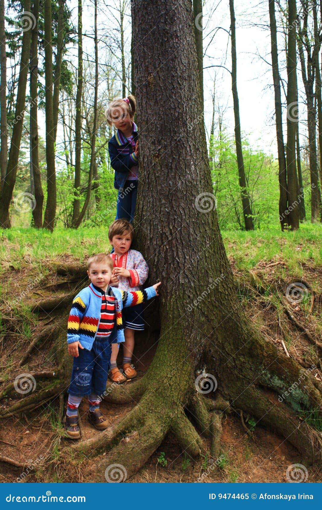 Children in the forest stock image. Image of outdoors - 9474465