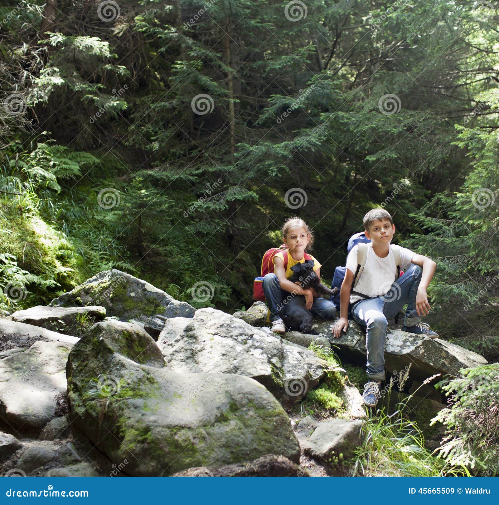 Children in forest stock image. Image of nature, contemplation - 45665509