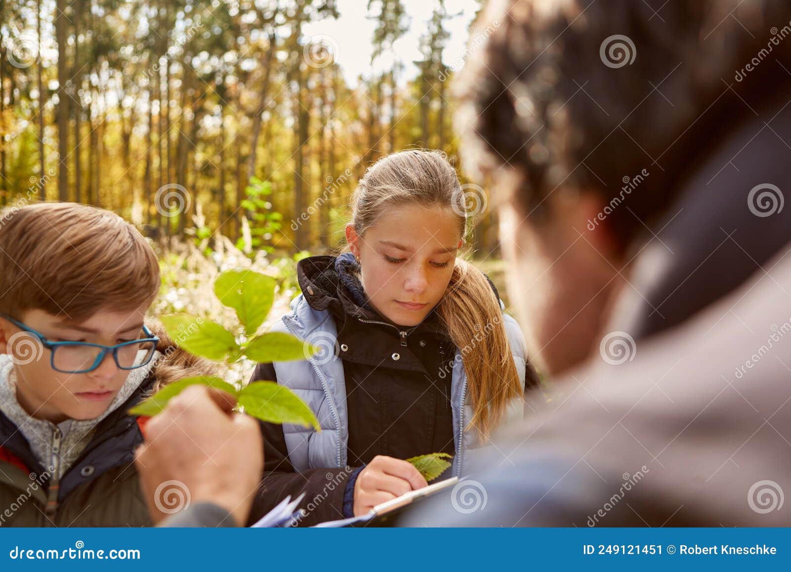 Children and Foresters with Leaves in Botany Class Stock Image - Image ...