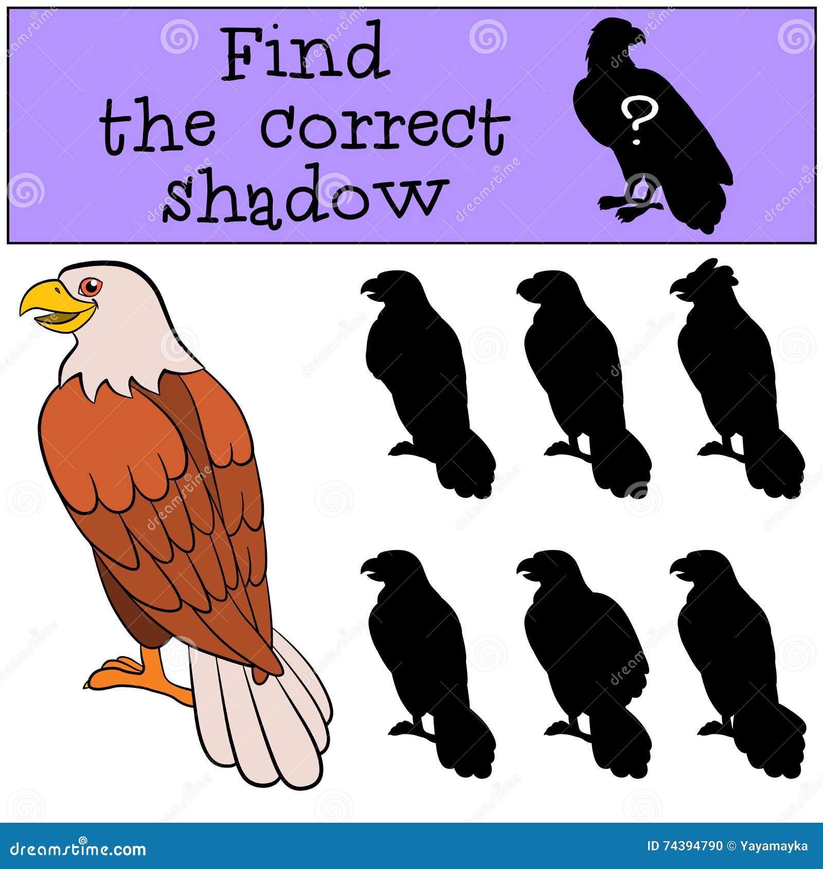 Children Games: Find the Correct Shadow. Cute Bald Eagle Sits Smiles ...
