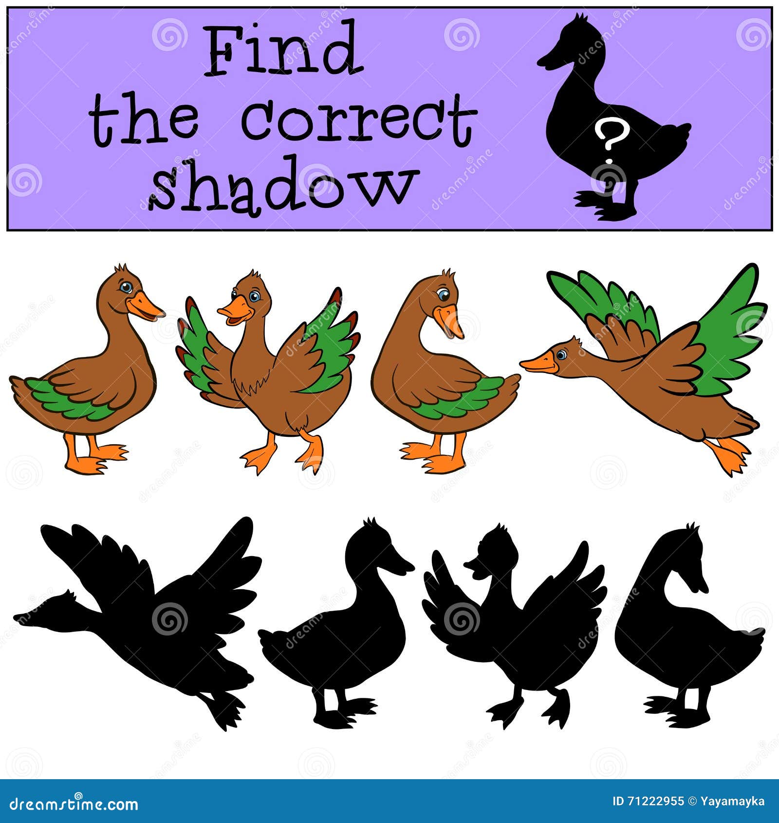 Children Games: Find the Correct Shadow. Ducks. Stock Vector ...
