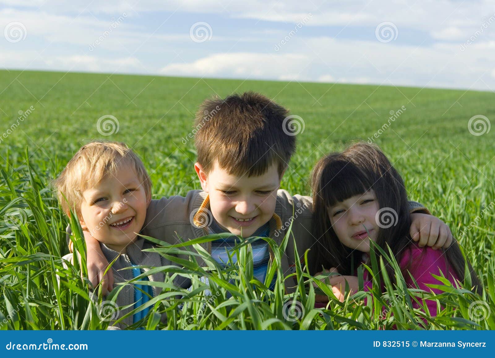 Children in grass stock image. Image of happy, child, brothers - 832515