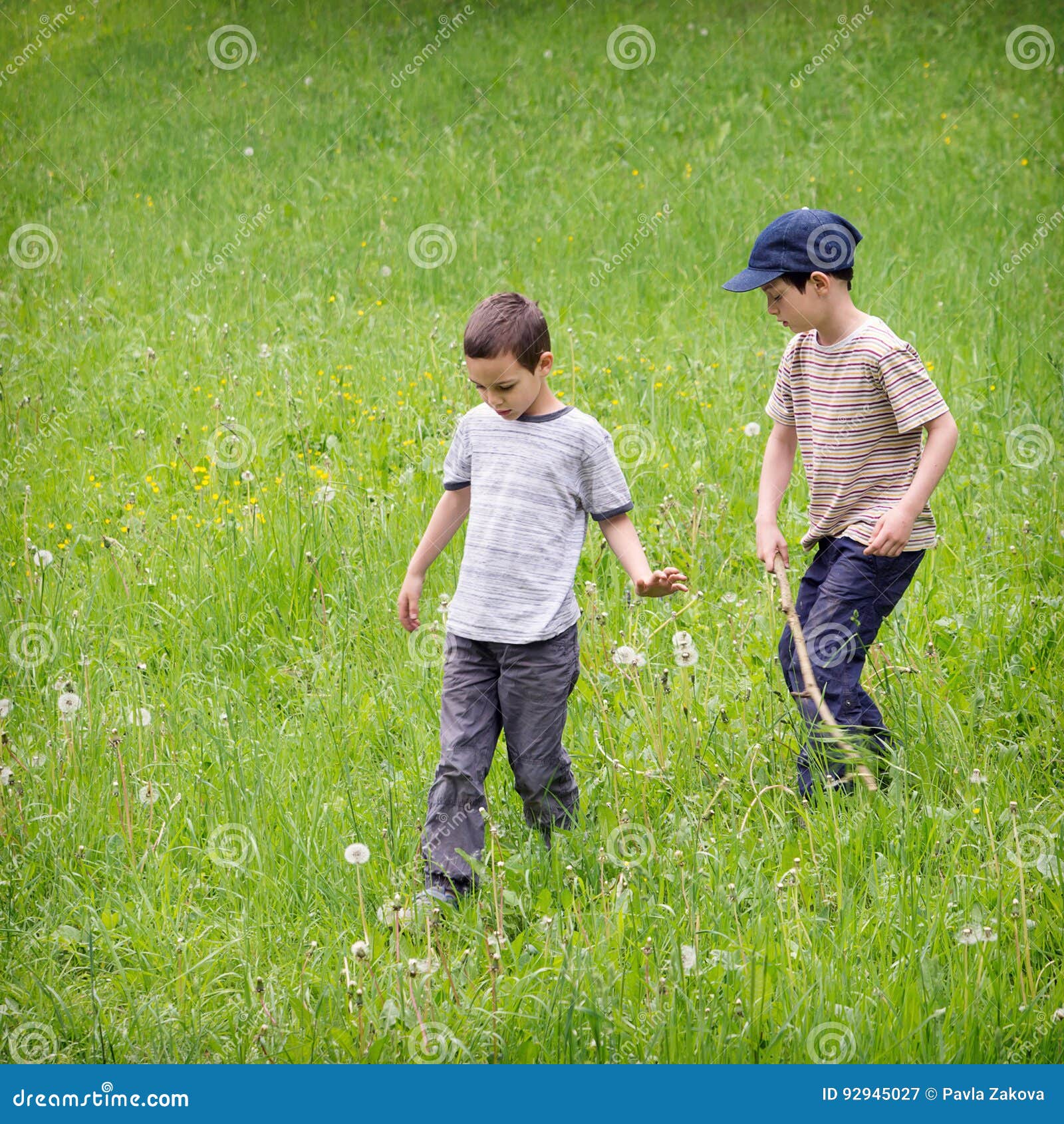 Children on grass meadow stock image. Image of meadow - 92945027