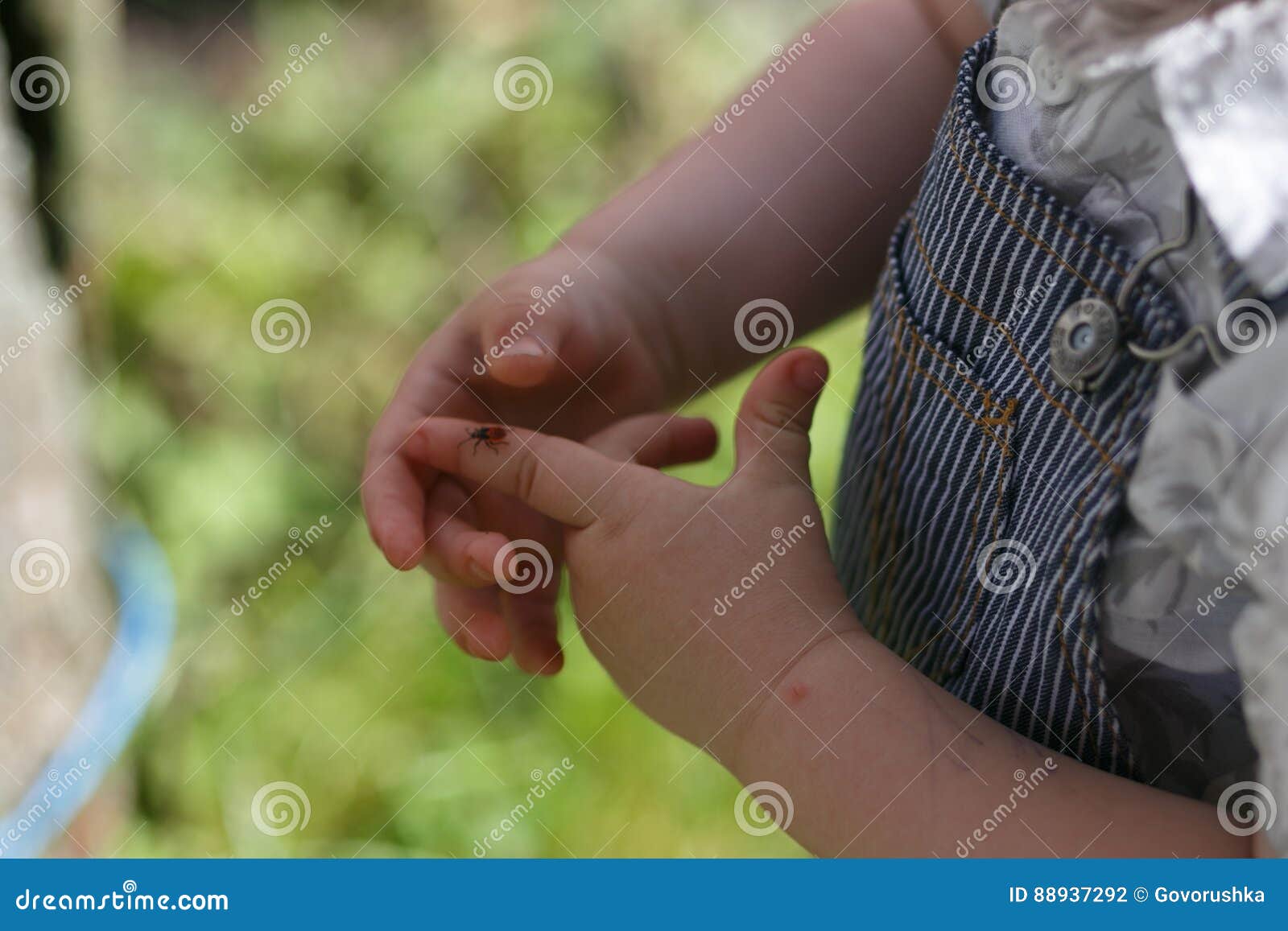 Children hands stock photo. Image of open, hand, giving - 88937292