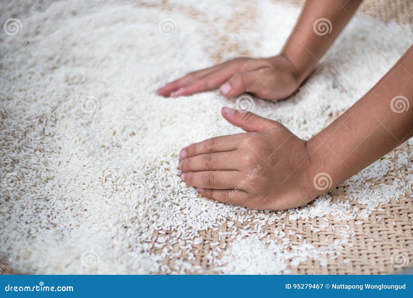 Children Hands Sweep the Rice Close Up. Stock Image - Image of farm ...