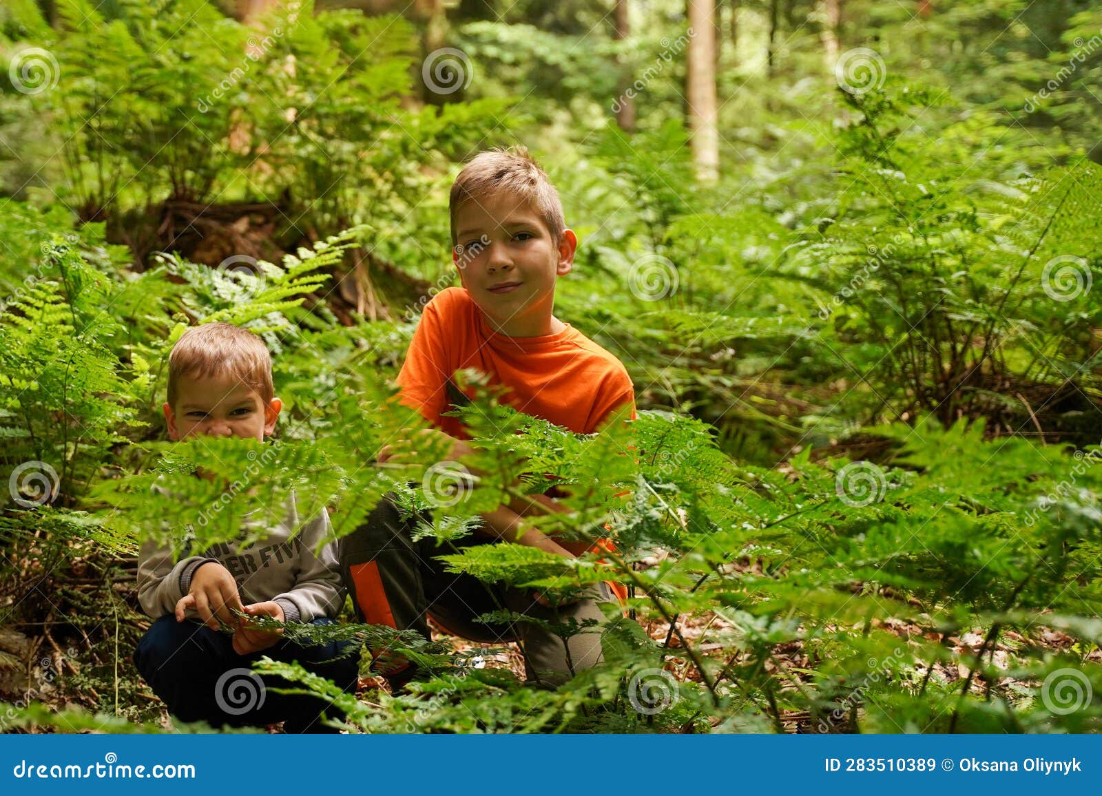 Children Have Fun in the Forest. Outdoor Activities. Stock Image ...