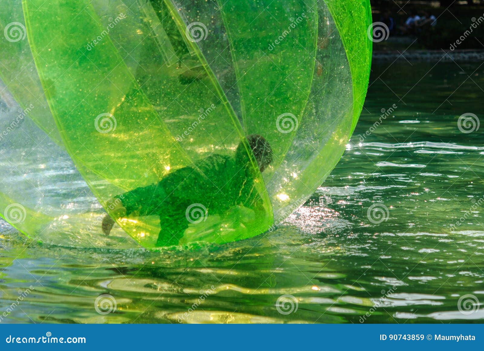 Children Have Fun Inside Plastic Balloons on the Water. Stock Image ...
