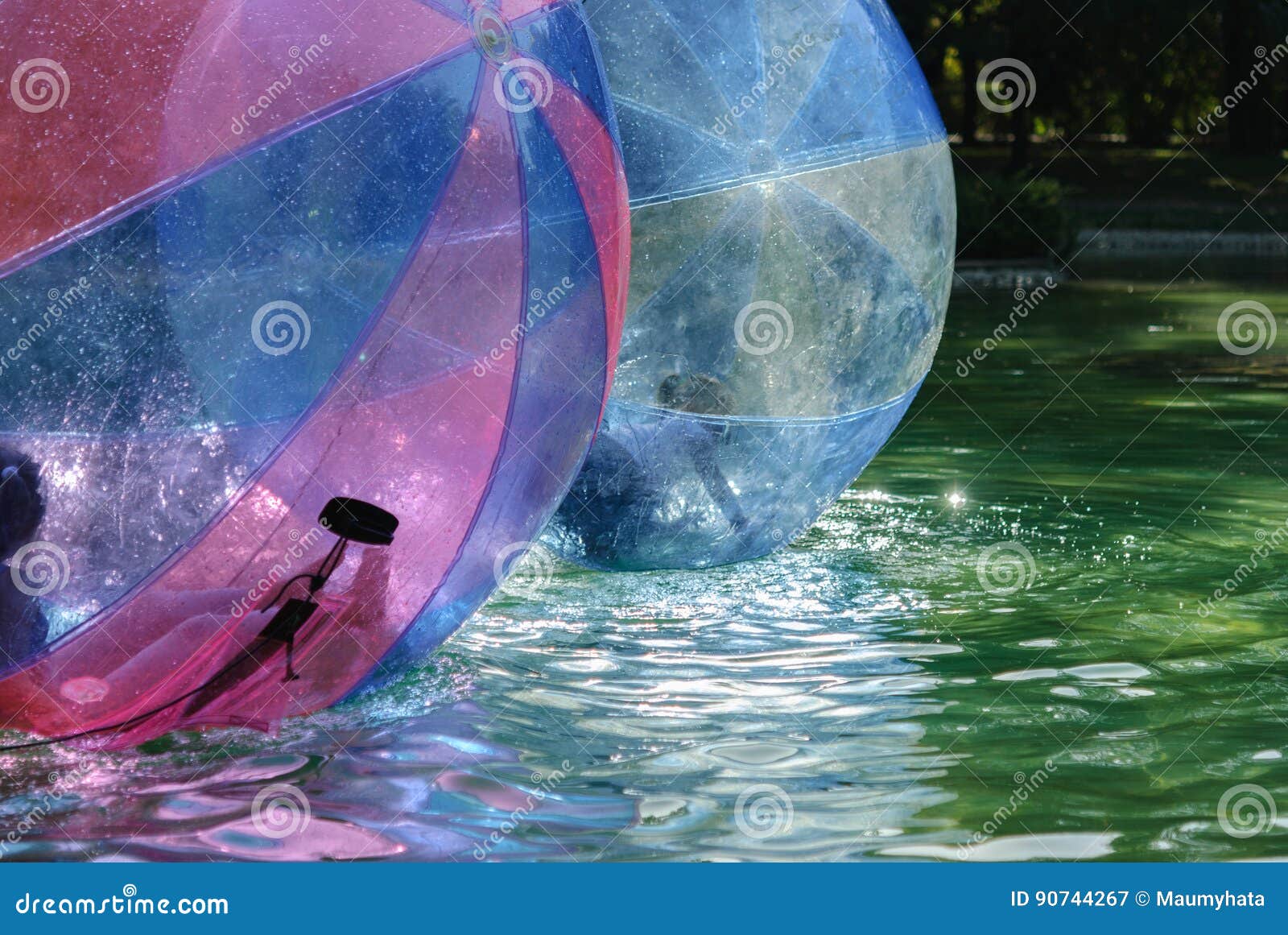 Children Have Fun Inside Plastic Balloons on the Water. Stock Image ...