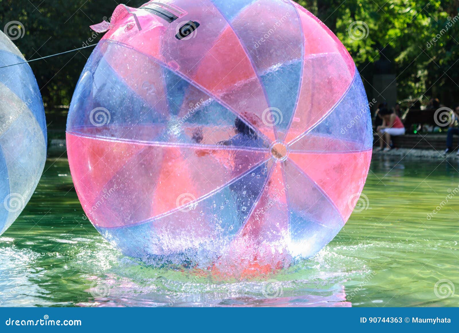 Children Have Fun Inside Plastic Balloons on the Water. Stock Image ...