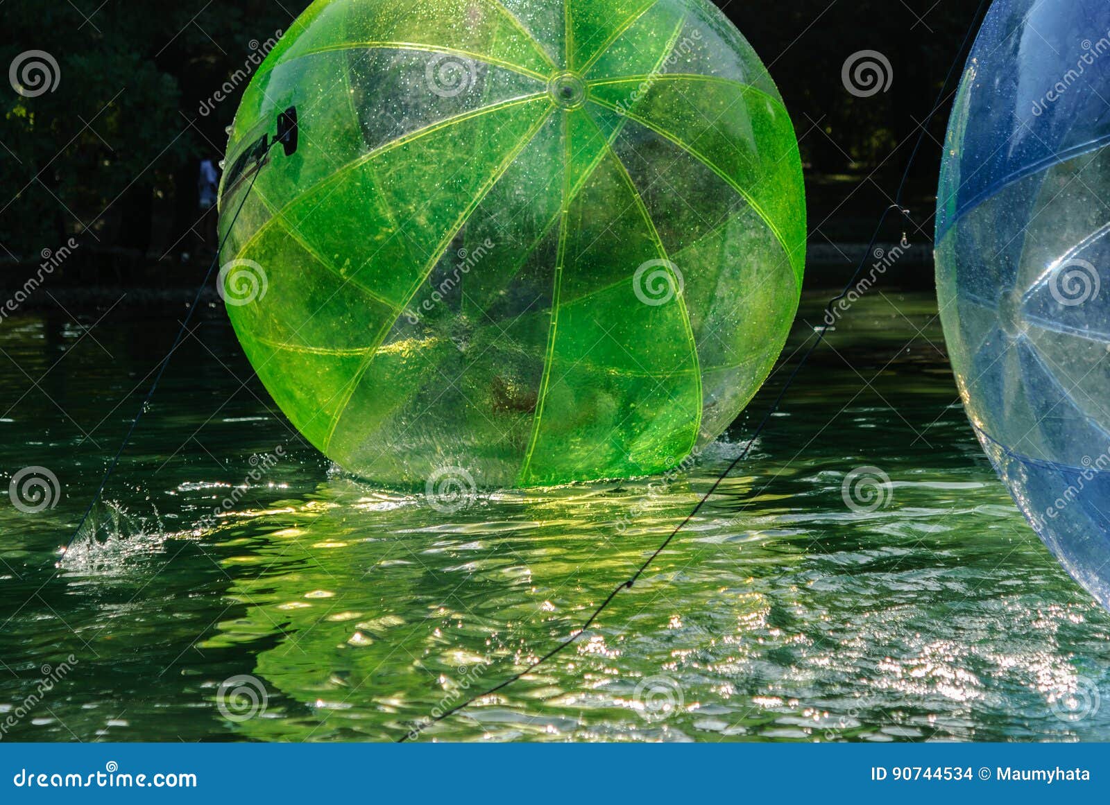 Children Have Fun Inside Plastic Balloons on the Water. Stock Photo ...