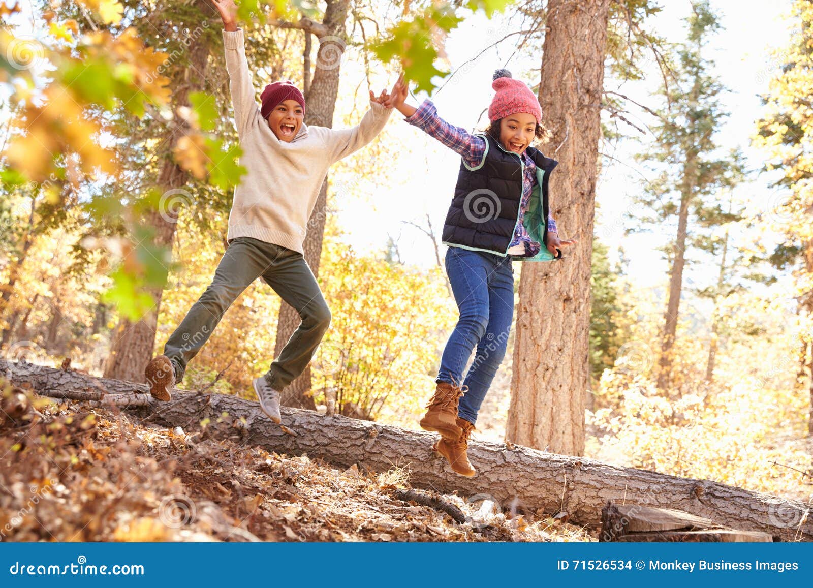 Children Having Fun and Balancing on Tree in Fall Woodland Stock Photo ...