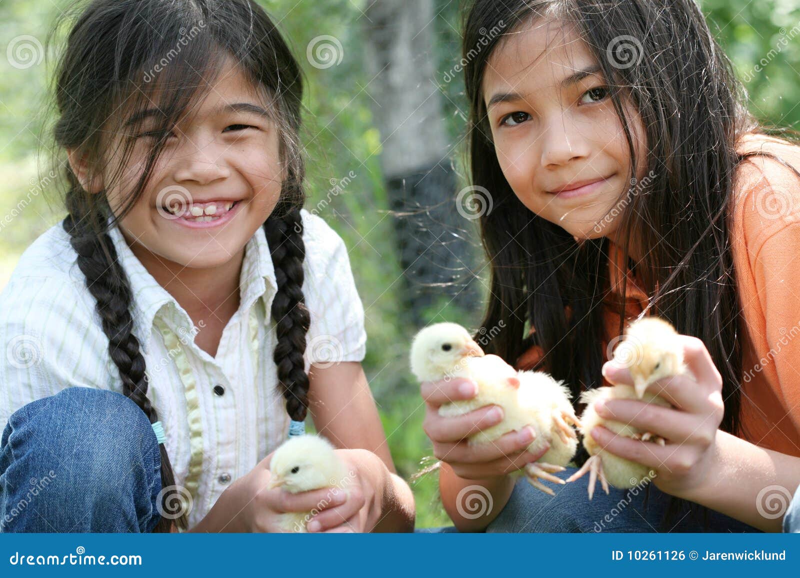Children Holding Pet Chicks Stock Photo - Image of feathers, hand: 10261126