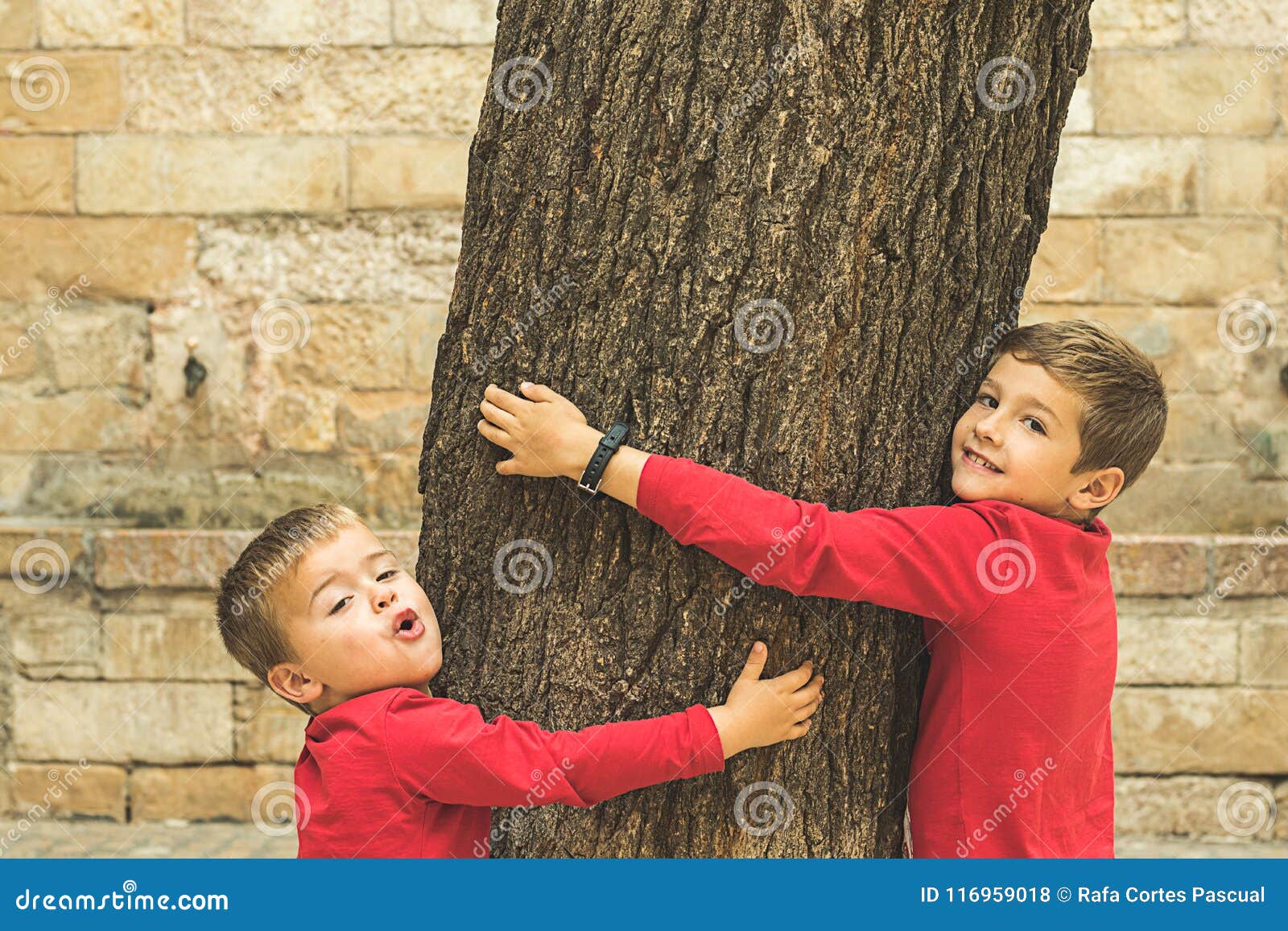 Children hugging a tree stock photo. Image of hands - 116959018