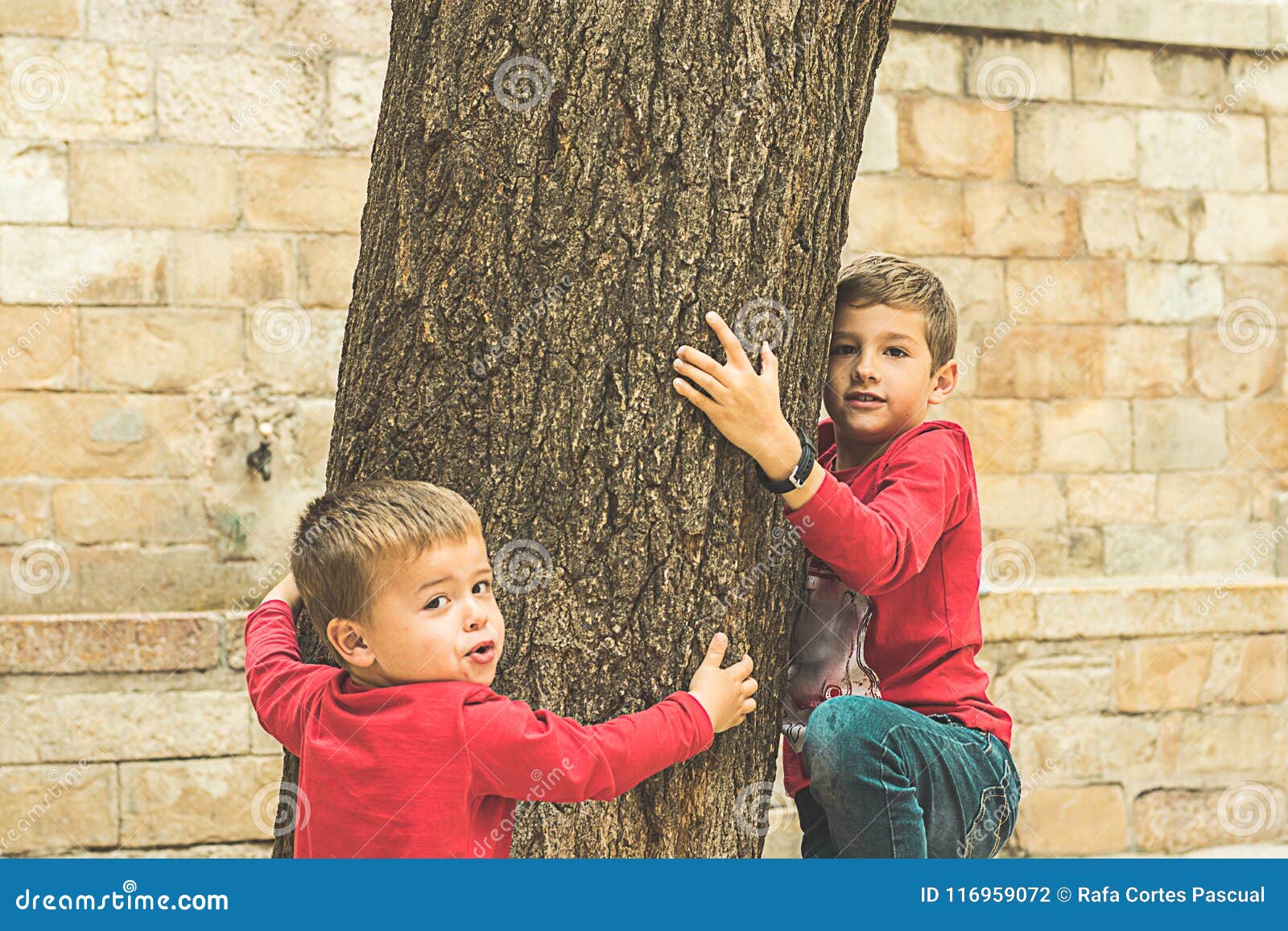 Children hugging a tree stock photo. Image of little - 116959072