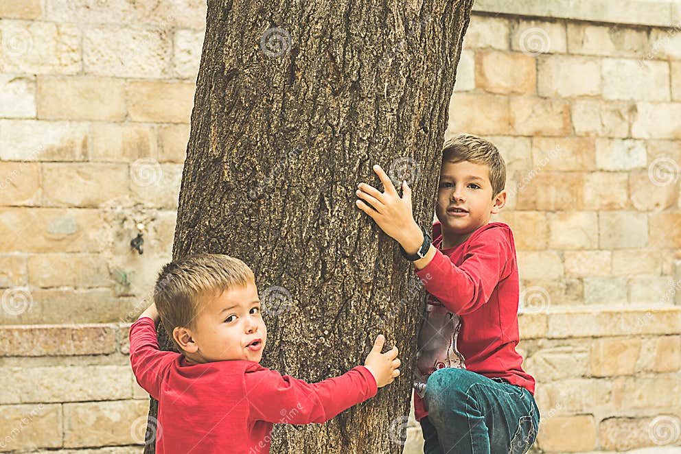 Children hugging a tree stock photo. Image of little - 116959072