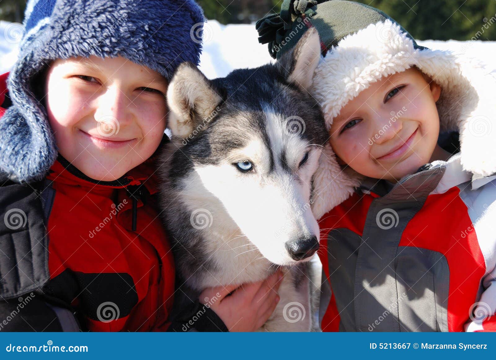 Children and husky dog stock image. Image of cheerful - 5213667