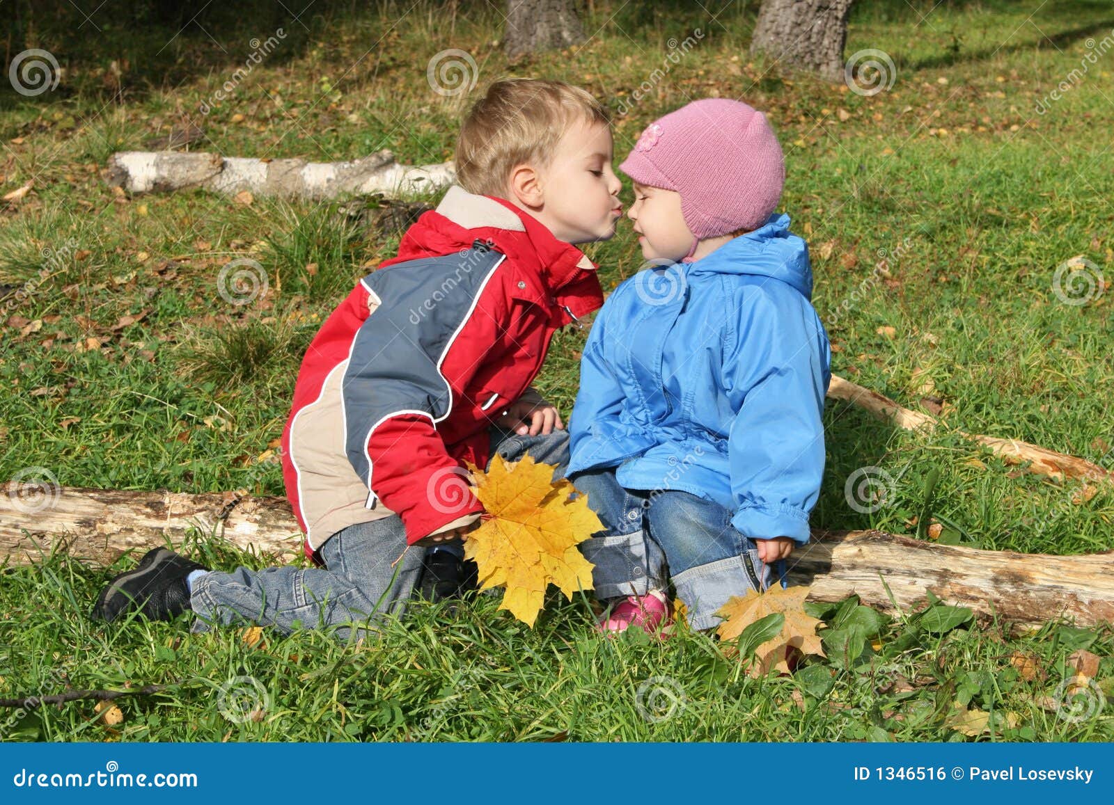 Children kiss stock photo. Image of family, leaf, maple - 1346516