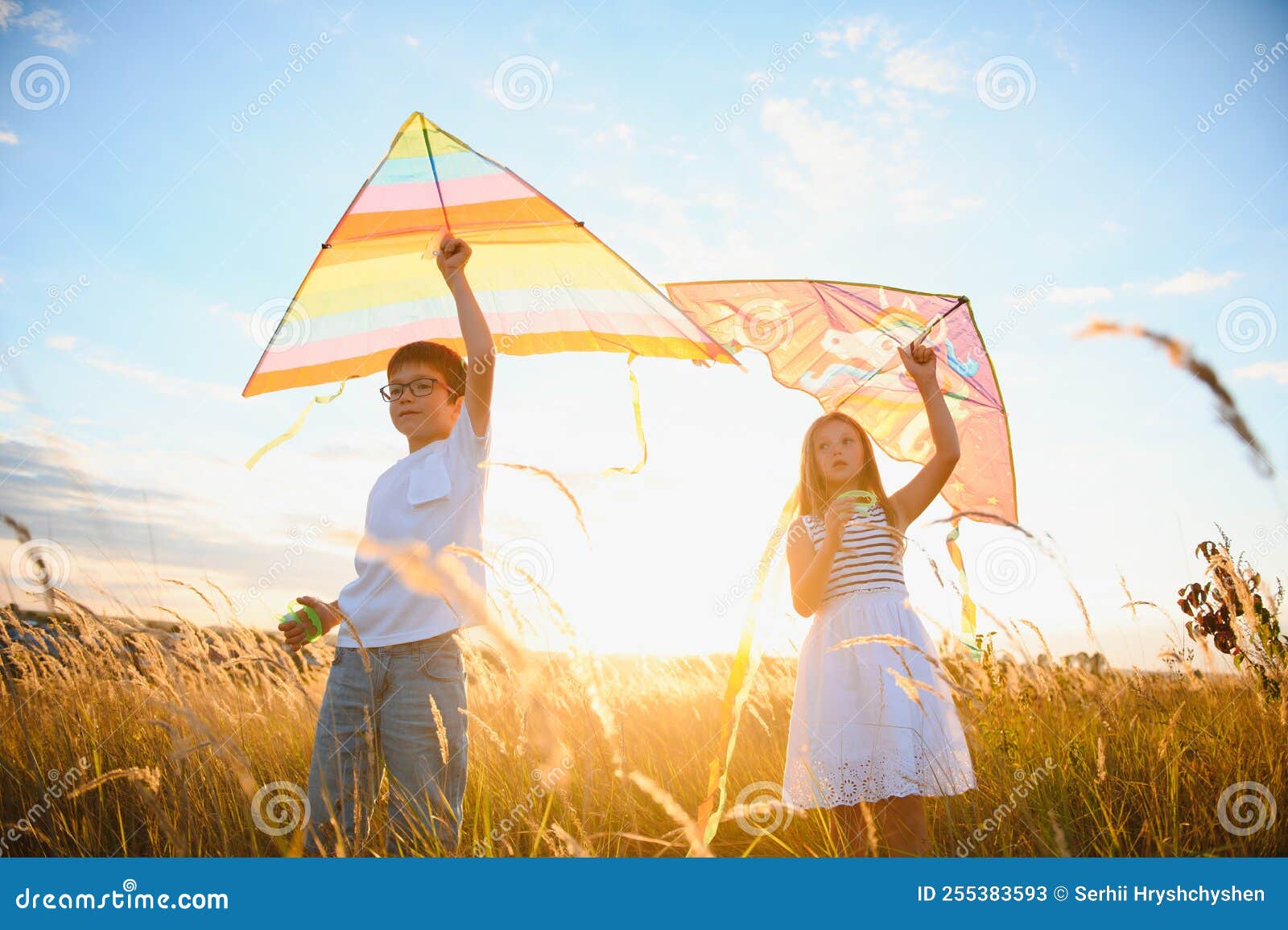 Children Launch a Kite in the Field at Sunset Stock Image - Image of ...