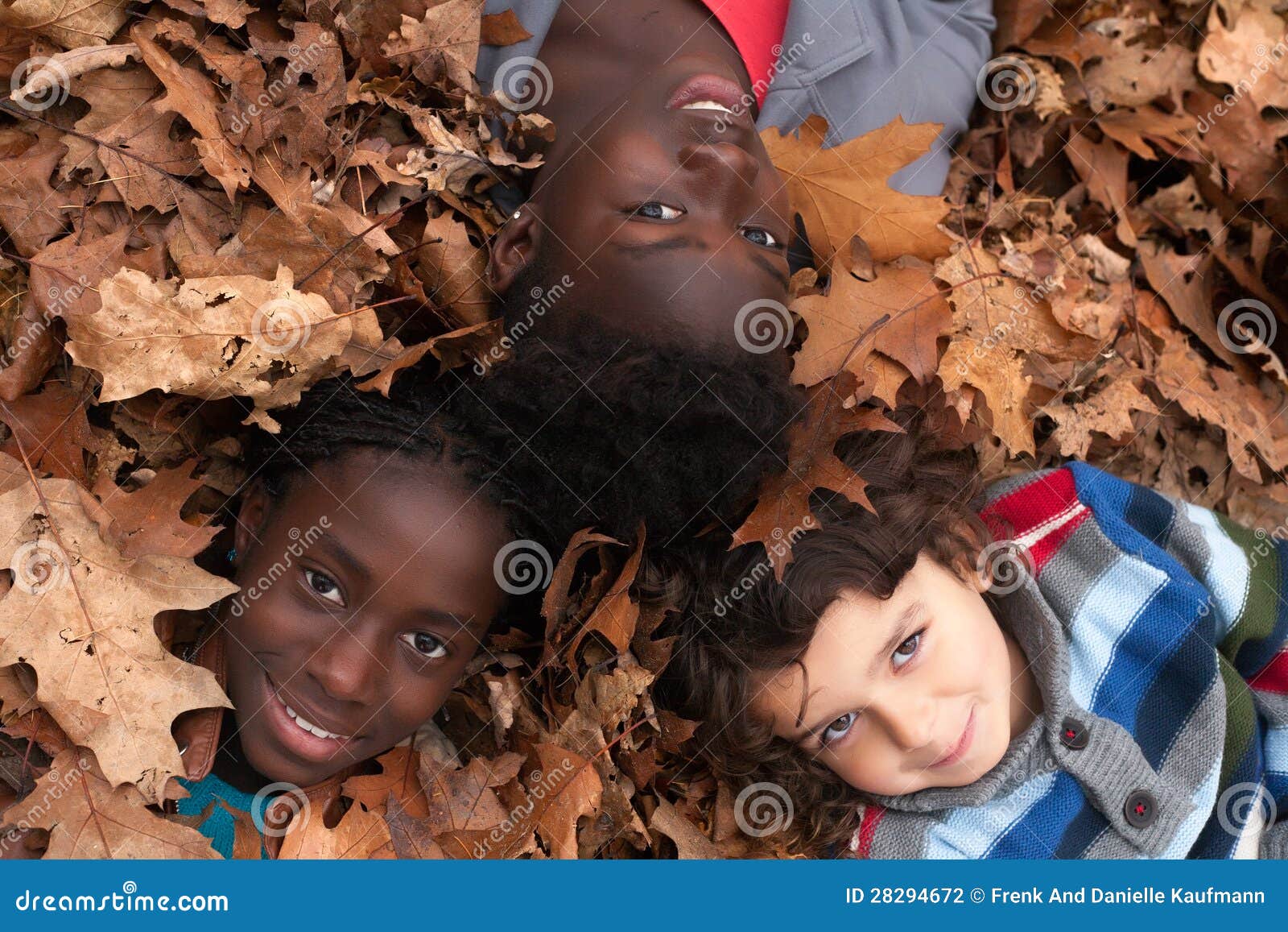 Children and leafs stock photo. Image of family, caucasian - 28294672