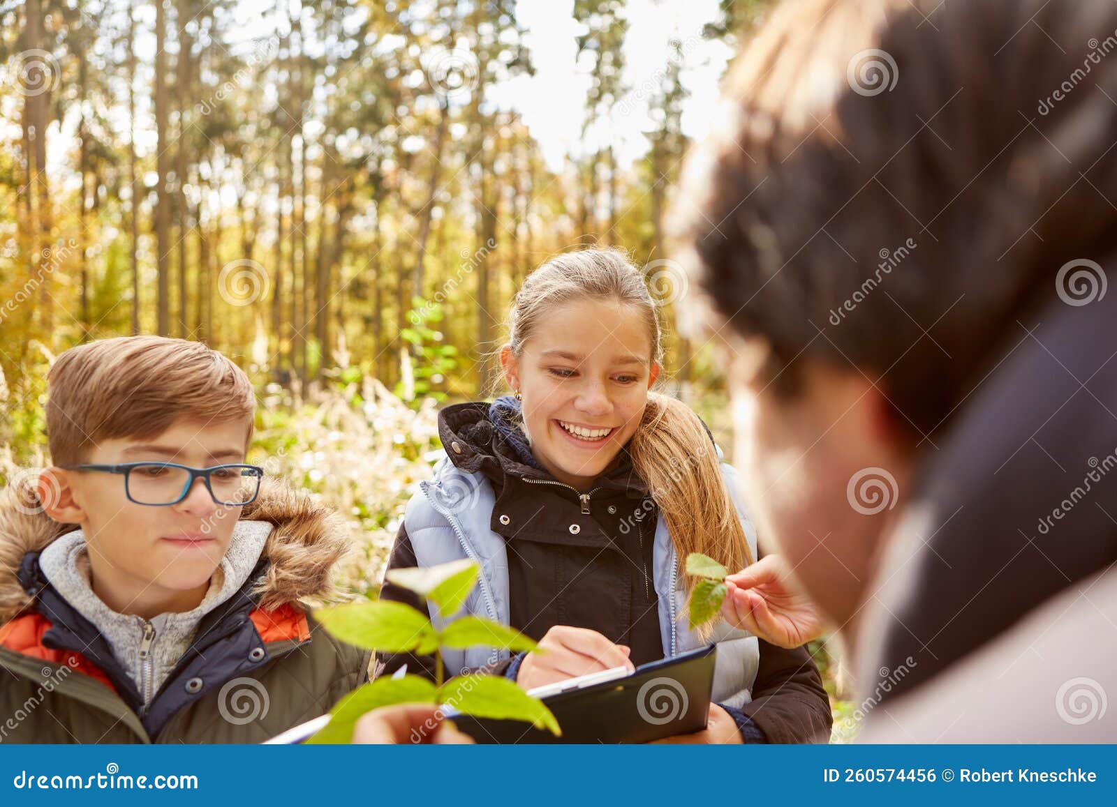 Children Learn from the Forester in Arboriculture Lessons Stock Photo ...