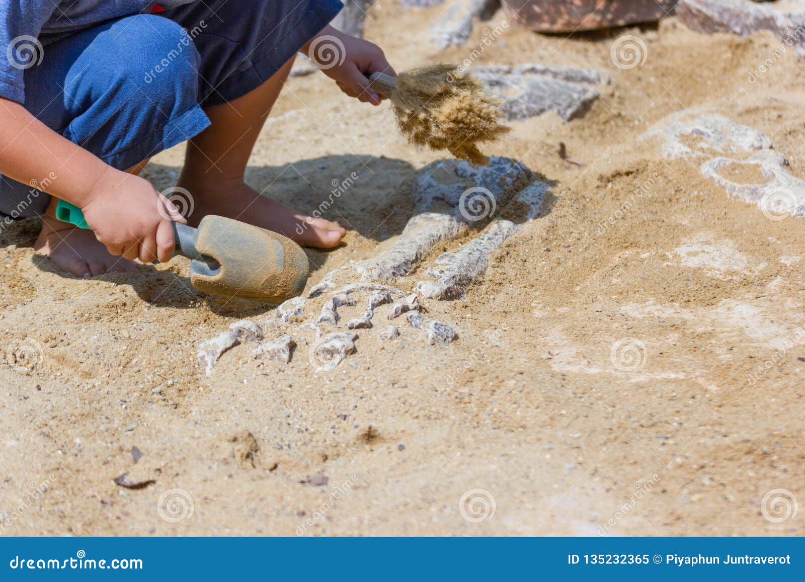Children Learning about, Excavating Dinosaur Fossils Simulation Stock ...