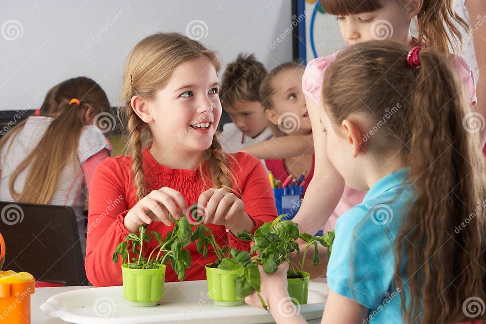 Children Learning about Plants in School Class Stock Photo - Image of ...
