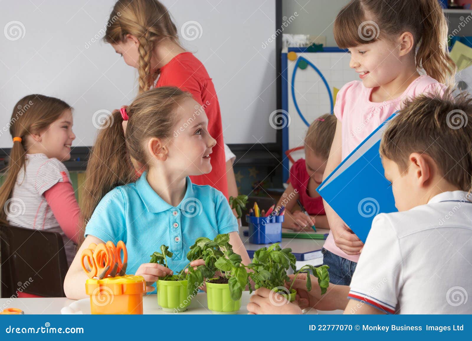 Children Learning about Plants in School Class Stock Photo - Image of ...