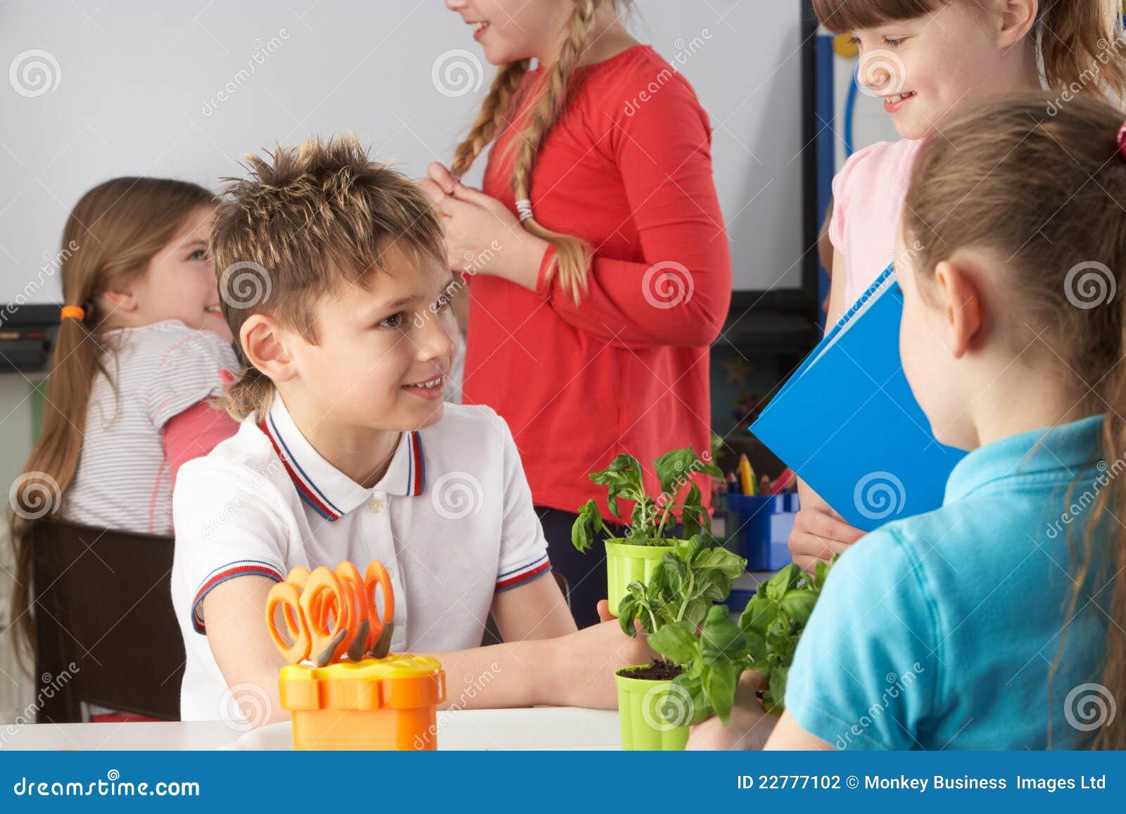 Children Learning about Plants in School Class Stock Photo - Image of ...