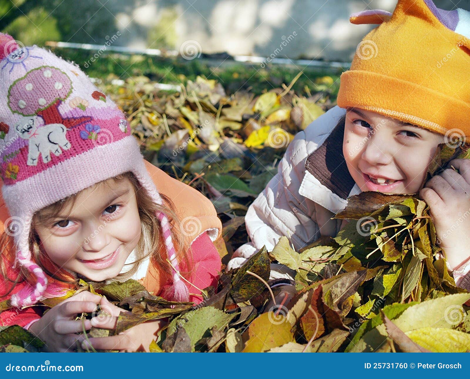 Children in the Leaves stock photo. Image of playing - 25731760