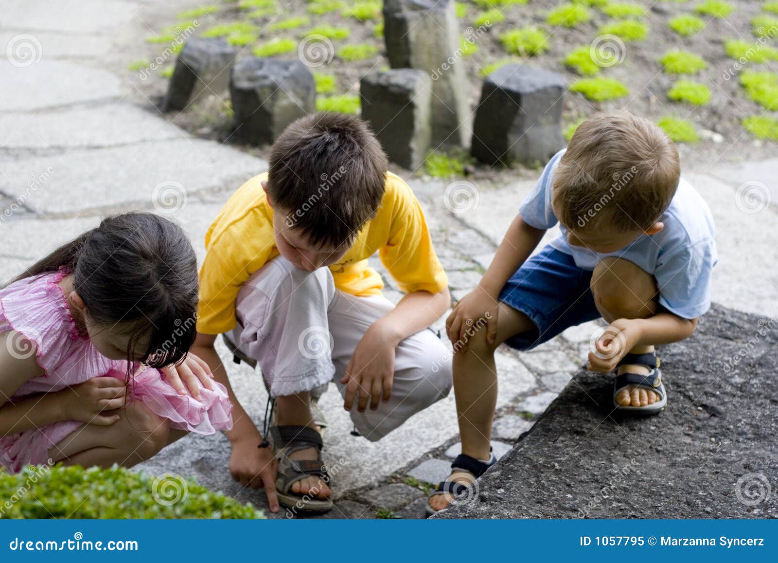 Children looking for ant stock image. Image of youth, smiling - 1057795