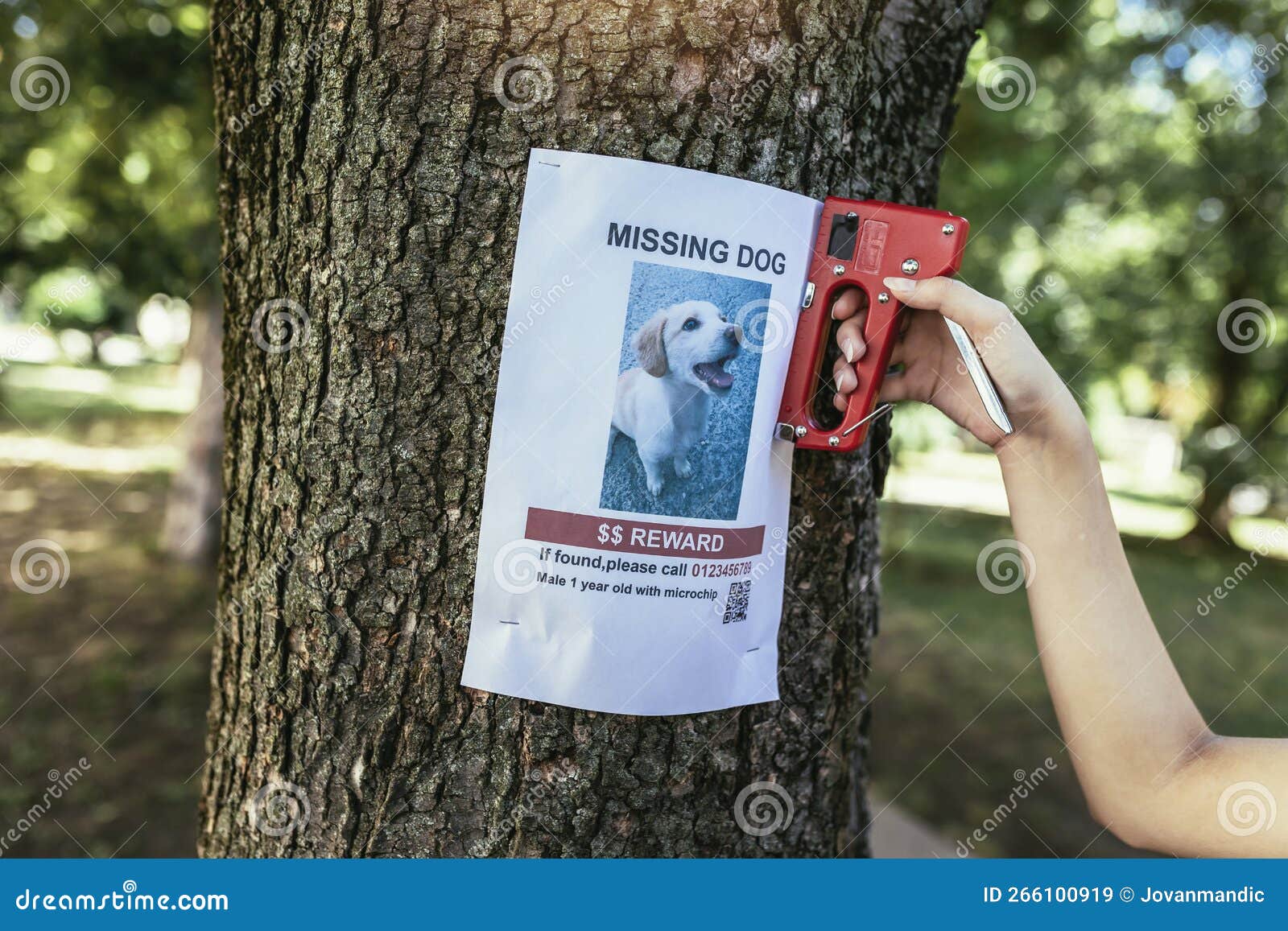 Children are Looking for a Missing Dog Stock Image - Image of ... Children are Looking for a Missing Dog Stock Image - Image of ...