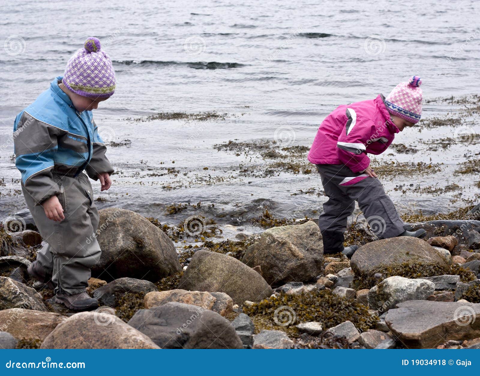 Children Looking for Treasure Stock Photo - Image of girl, preschooler ...