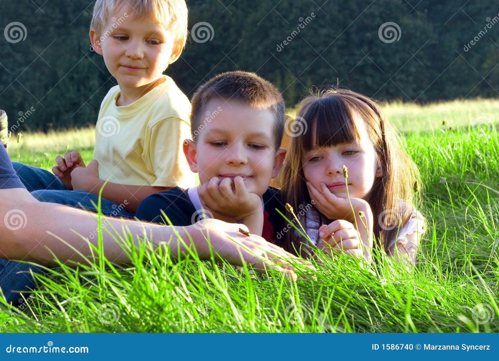 Children in a Meadow stock photo. Image of contemplate - 1586740