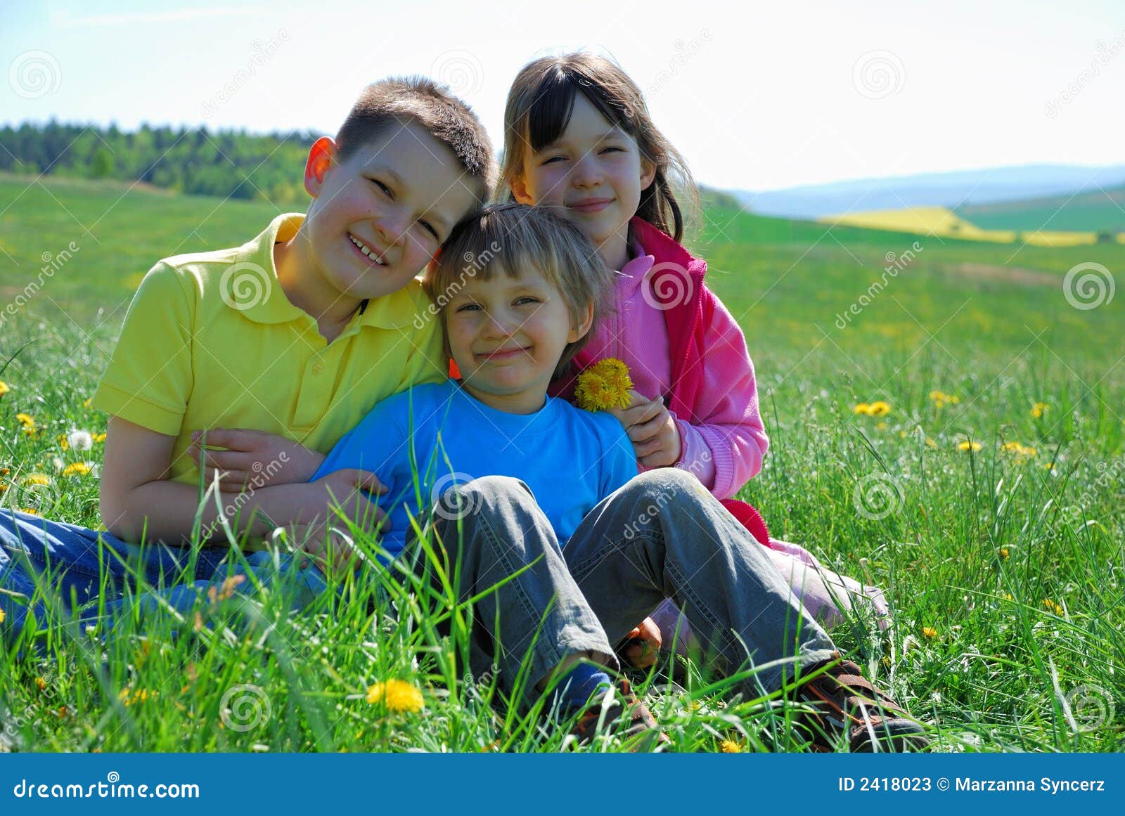 Children in Meadow stock image. Image of brothers, siblings - 2418023