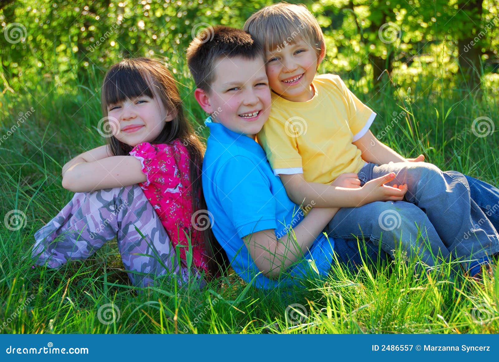 Children in a meadow stock image. Image of smile, sibling - 2486557