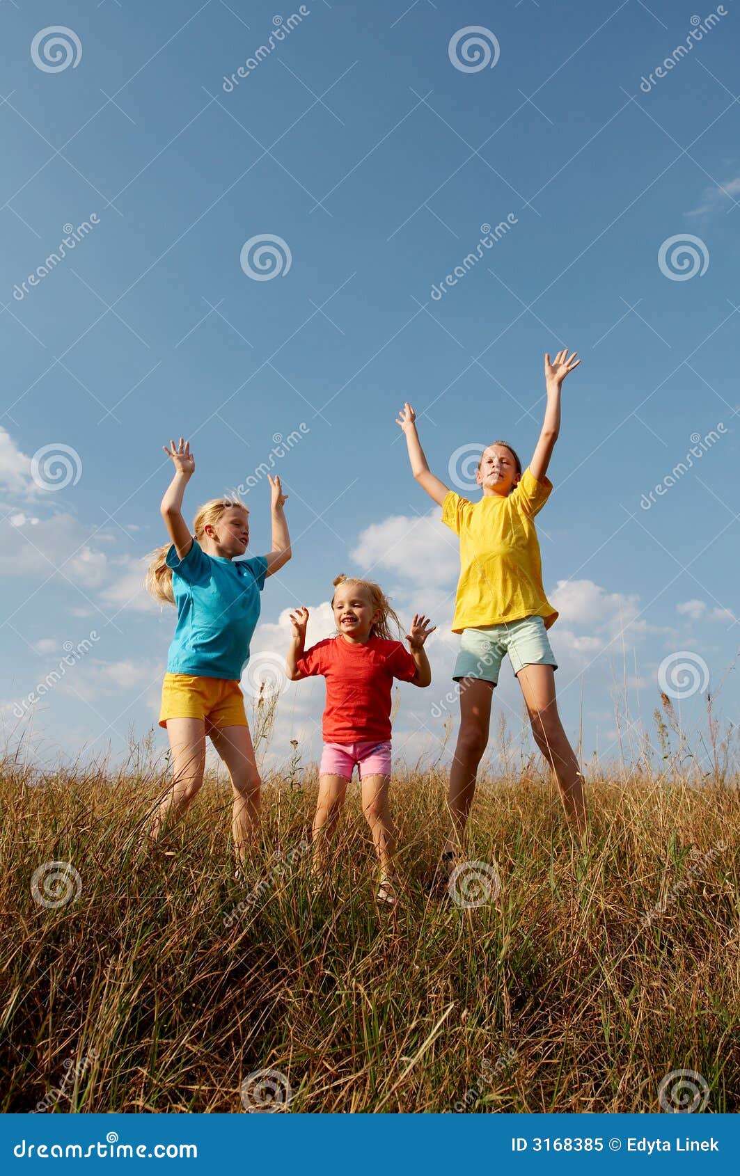 Children on a meadow stock image. Image of family, children - 3168385