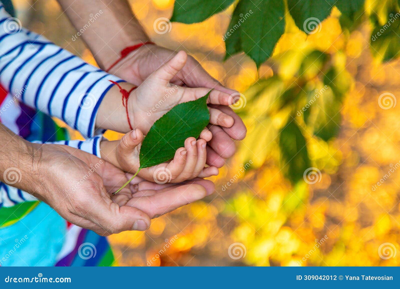 Children and Parents Hold a Piece of Leaf in Their Hands. Selective ...