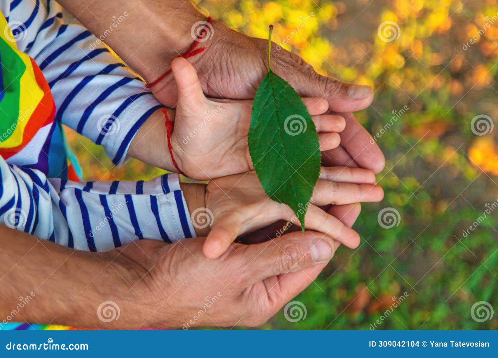 Children and Parents Hold a Piece of Leaf in Their Hands. Selective ...