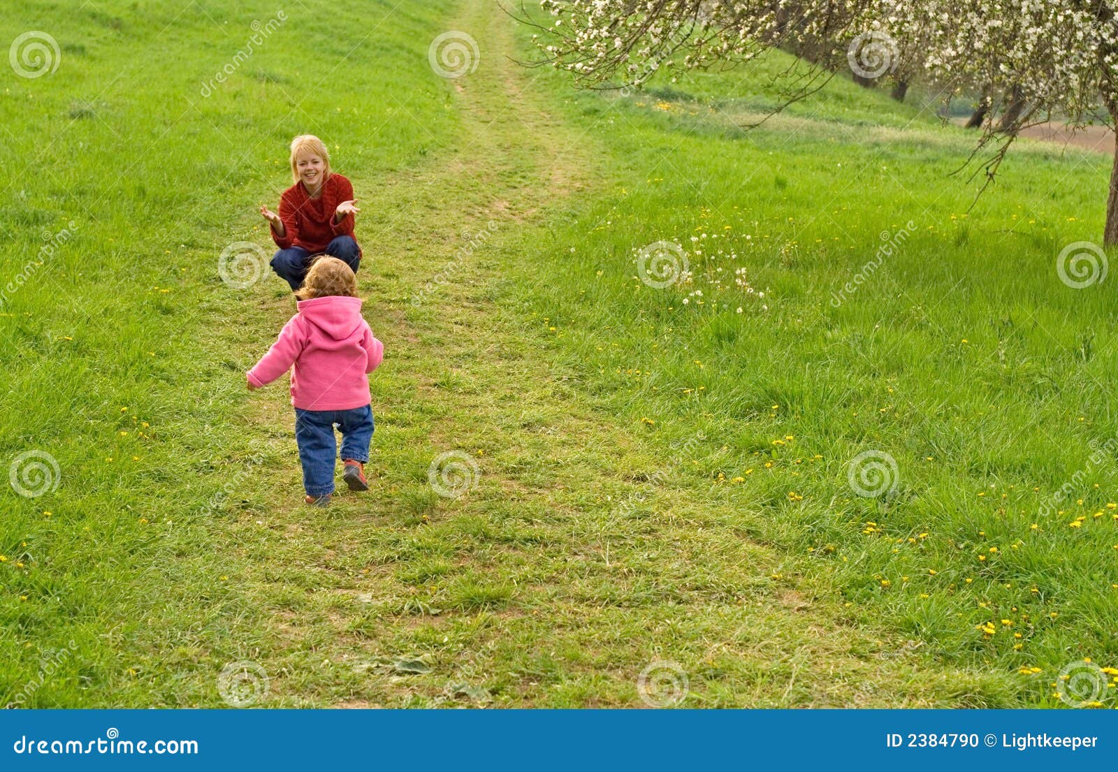 Children on the path stock photo. Image of freedom, people - 2384790