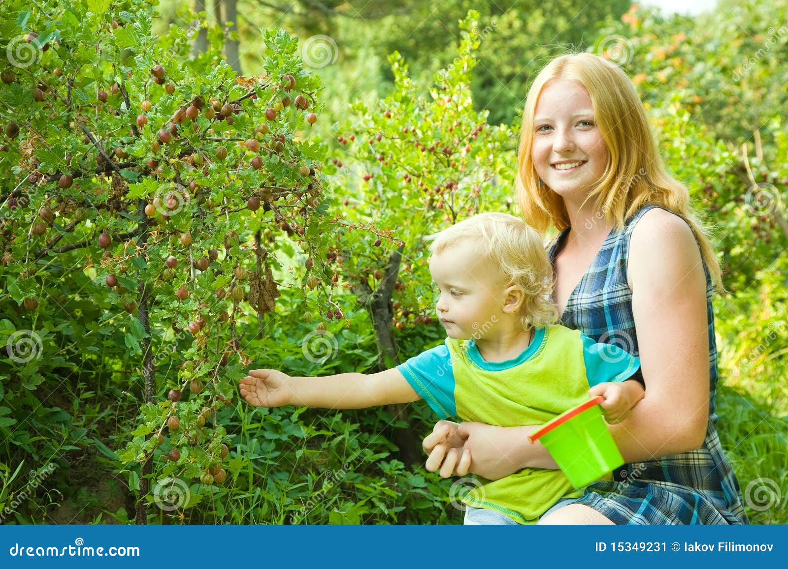 Children is Picking Gooseberry Stock Image - Image of healthy ...