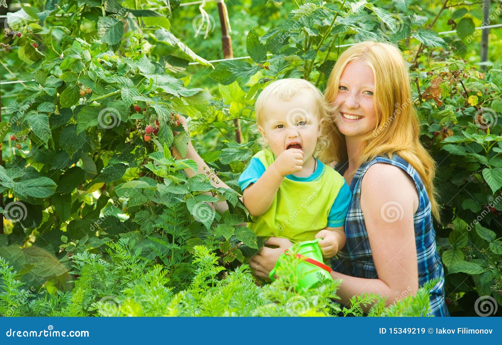 Children is Picking Raspberry Stock Image - Image of berry, girl: 15349219